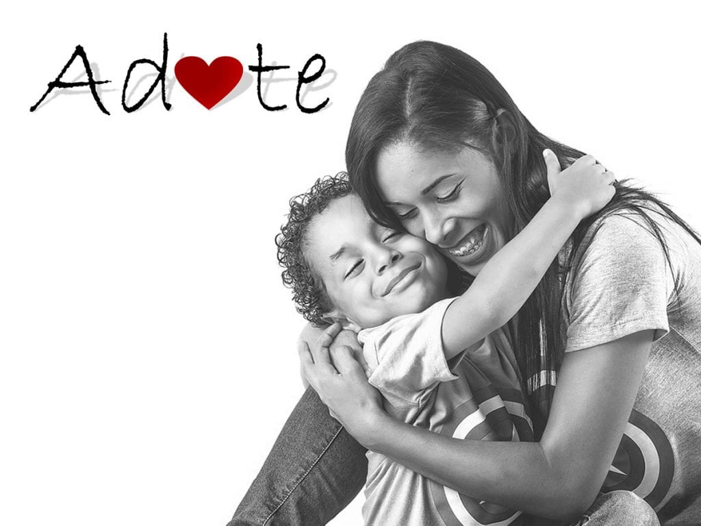 Campanha Adote um Boa Noite tem objetivo de estimular adoção de ...